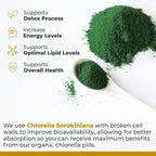 high-quality chlorella for wellness