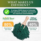 high-quality chlorella spirulina supplement