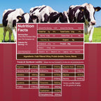 high-quality chocolate protein powder