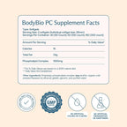 high-quality choline supplement for cognitive support