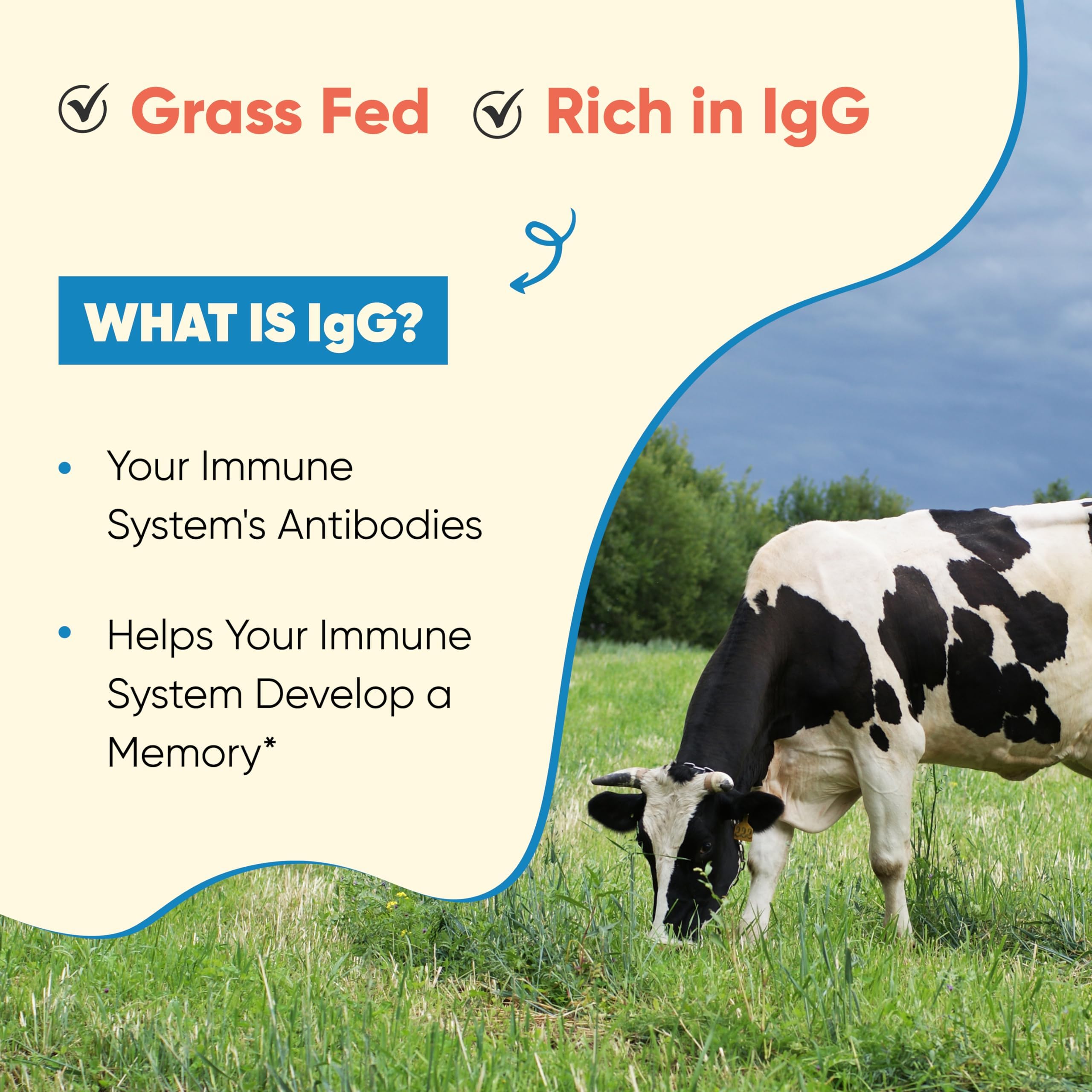 high-quality colostrum for immune health