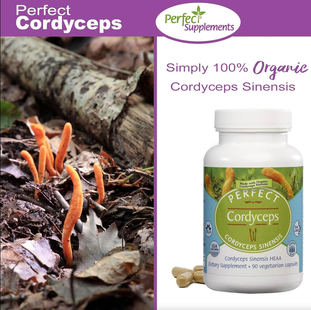 high-quality cordyceps for endurance