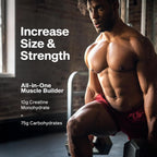 high-quality creatine for athletes