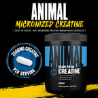 high-quality creatine for athletes