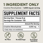 high-quality creatine for athletic performance