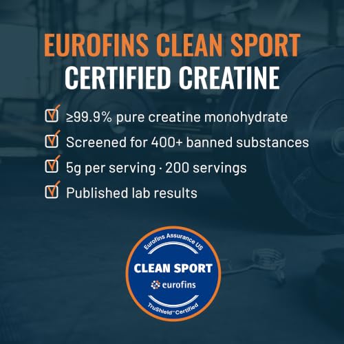 high-quality creatine for muscle gain