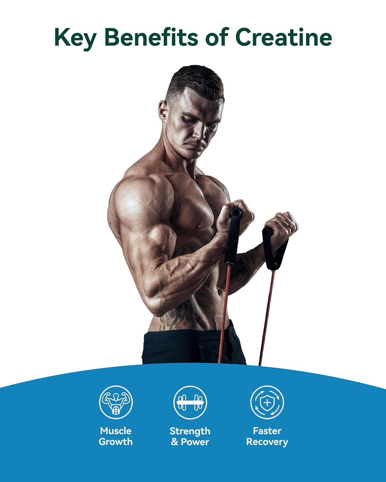 high-quality creatine for muscle gain