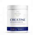 high-quality creatine monohydrate powder