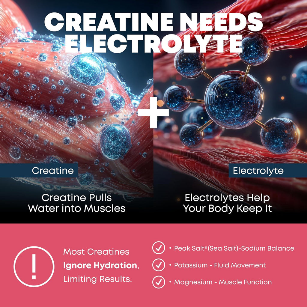 High-quality creatine monohydrate supplement