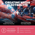 High-quality creatine monohydrate supplement