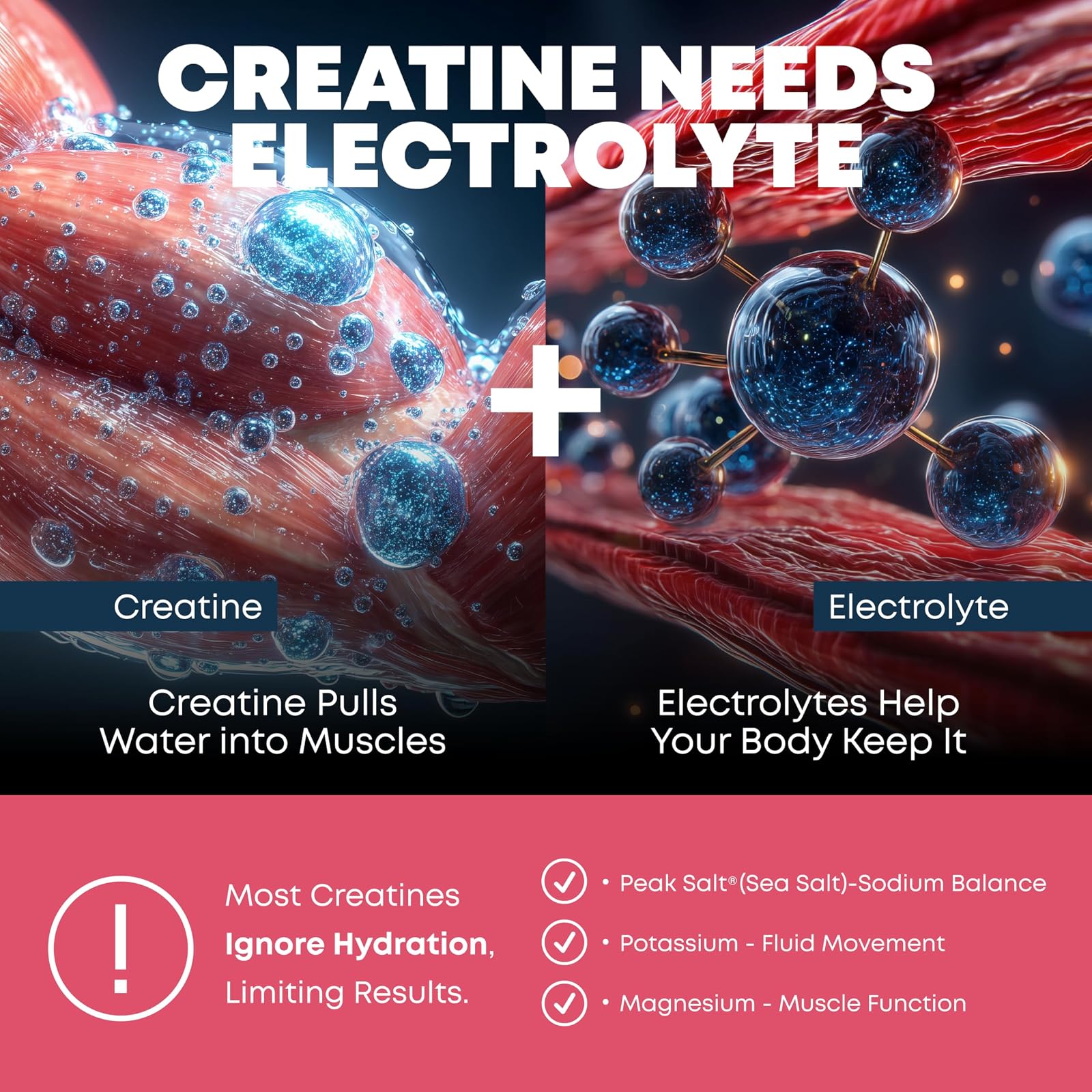 High-quality creatine monohydrate supplement
