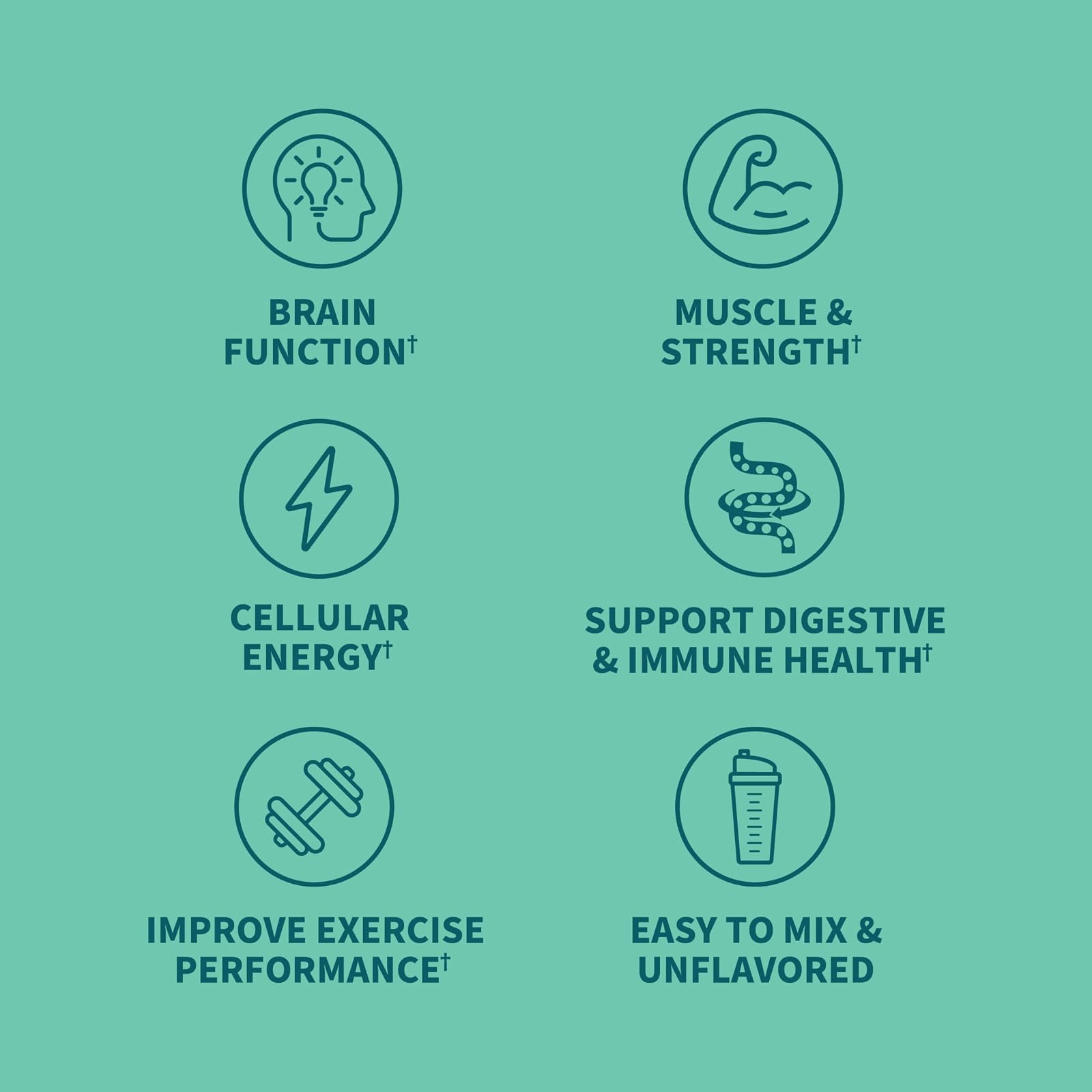 high-quality creatine powder for athletes
