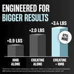 high-quality creatine supplement Canada