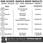 high-quality creatine supplement Canada