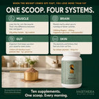 high-quality dark chocolate whey protein