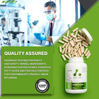 high-quality digestive enzymes for wellness