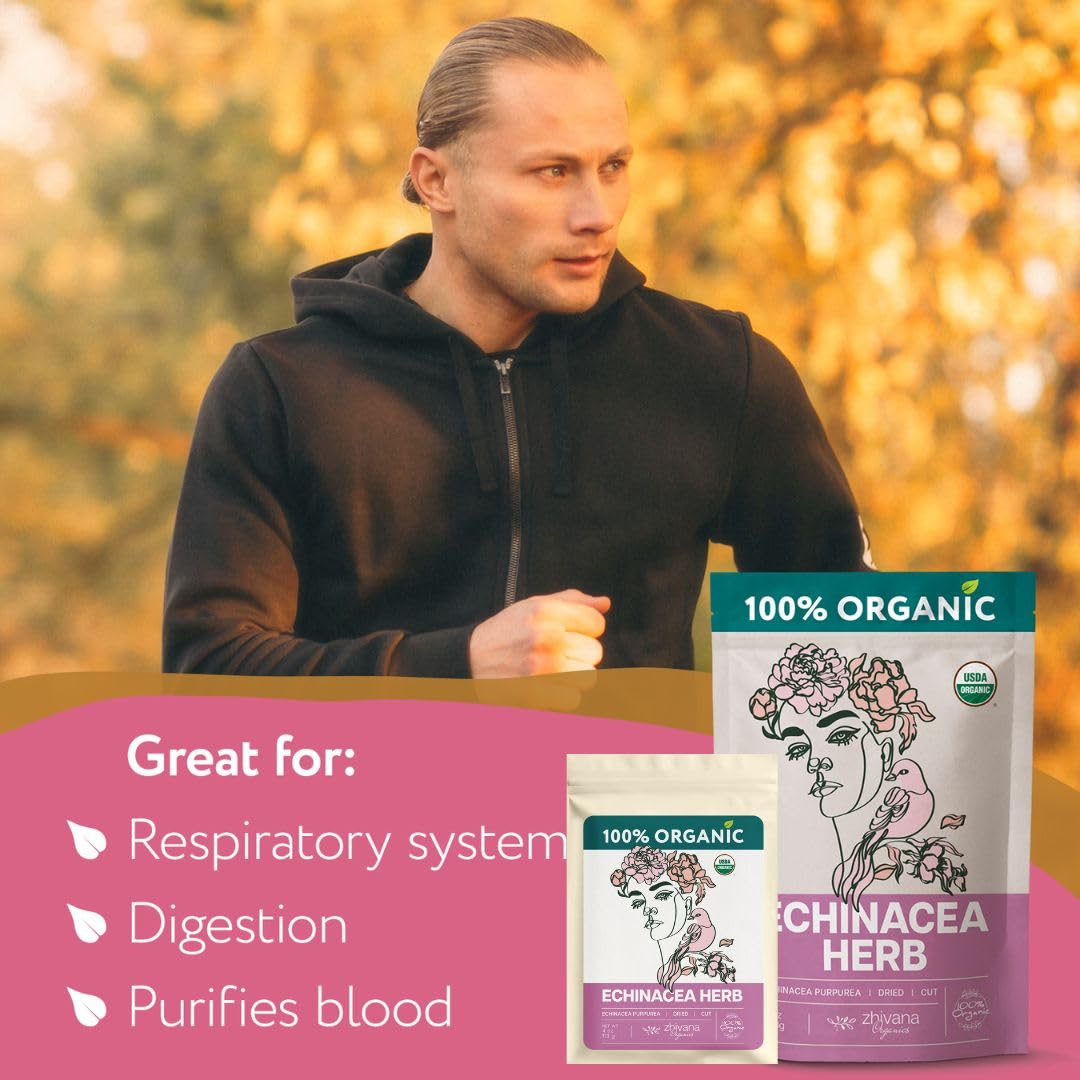 high-quality echinacea purpurea