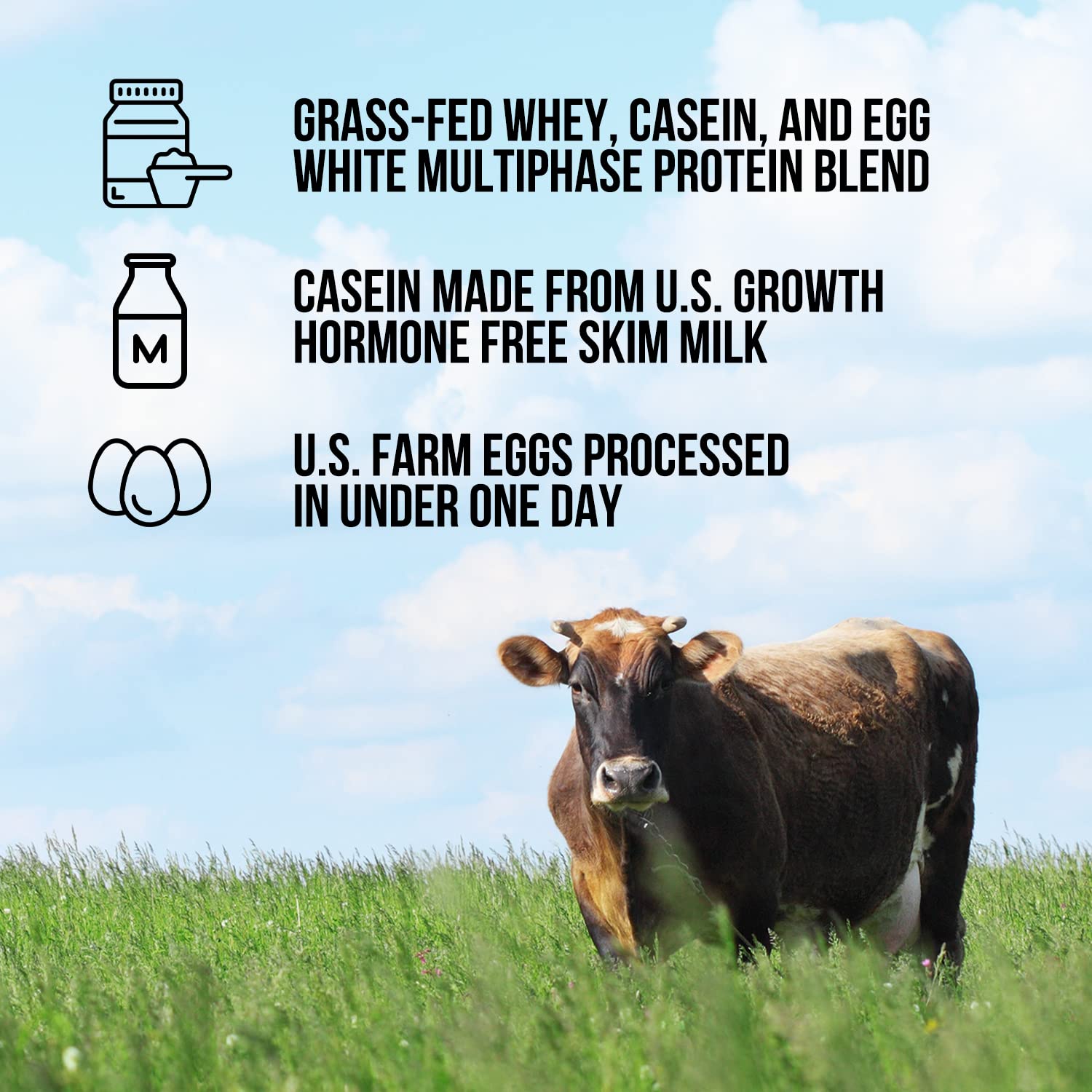 high-quality egg and whey protein powder