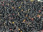 high-quality elderberries for smoothies
