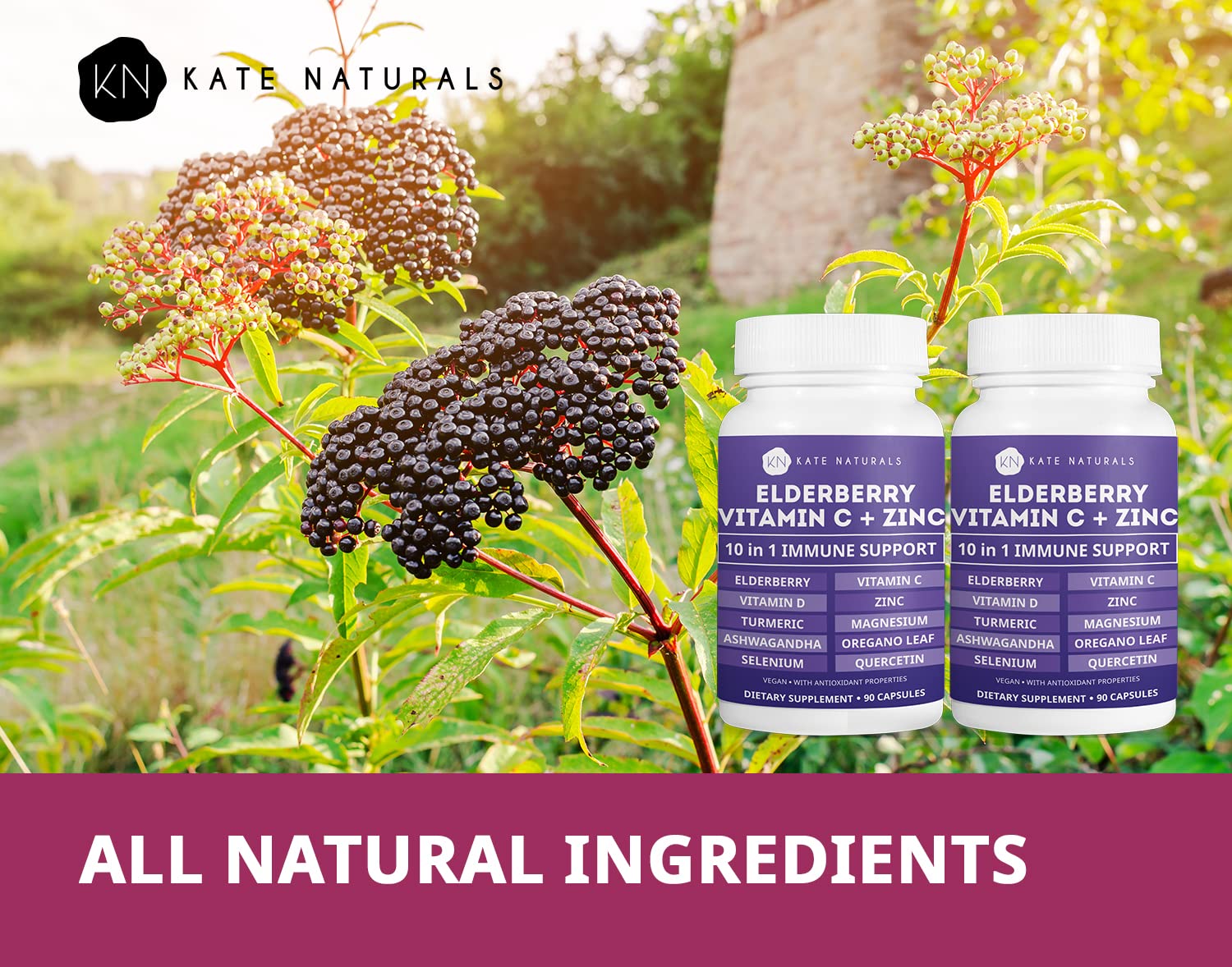 high-quality elderberry extract capsules