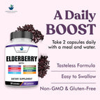high-quality elderberry supplement benefits