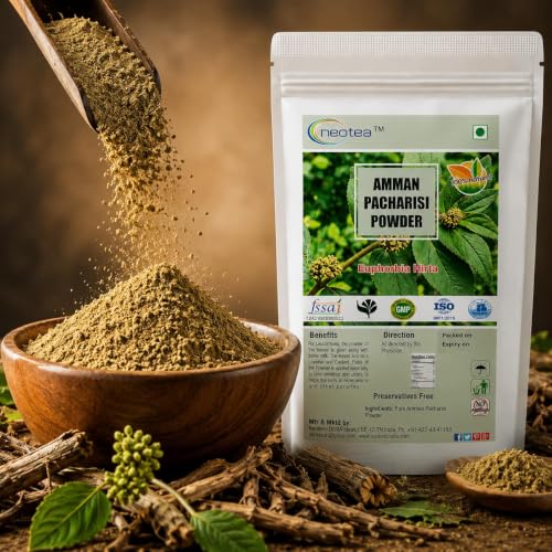 high-quality euphorbia hirta powder