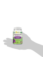 high-quality fat burners for energy support