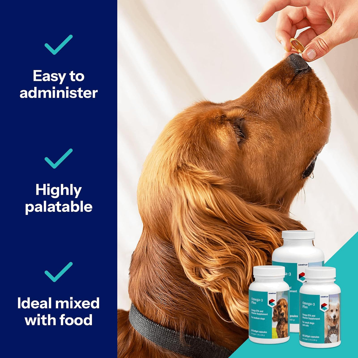 High-quality fish oil capsules