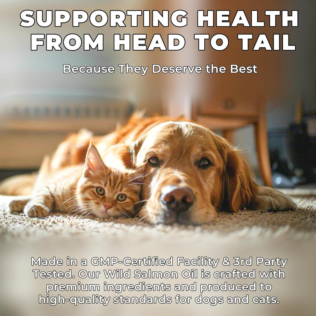 High-quality fish oil for wellness