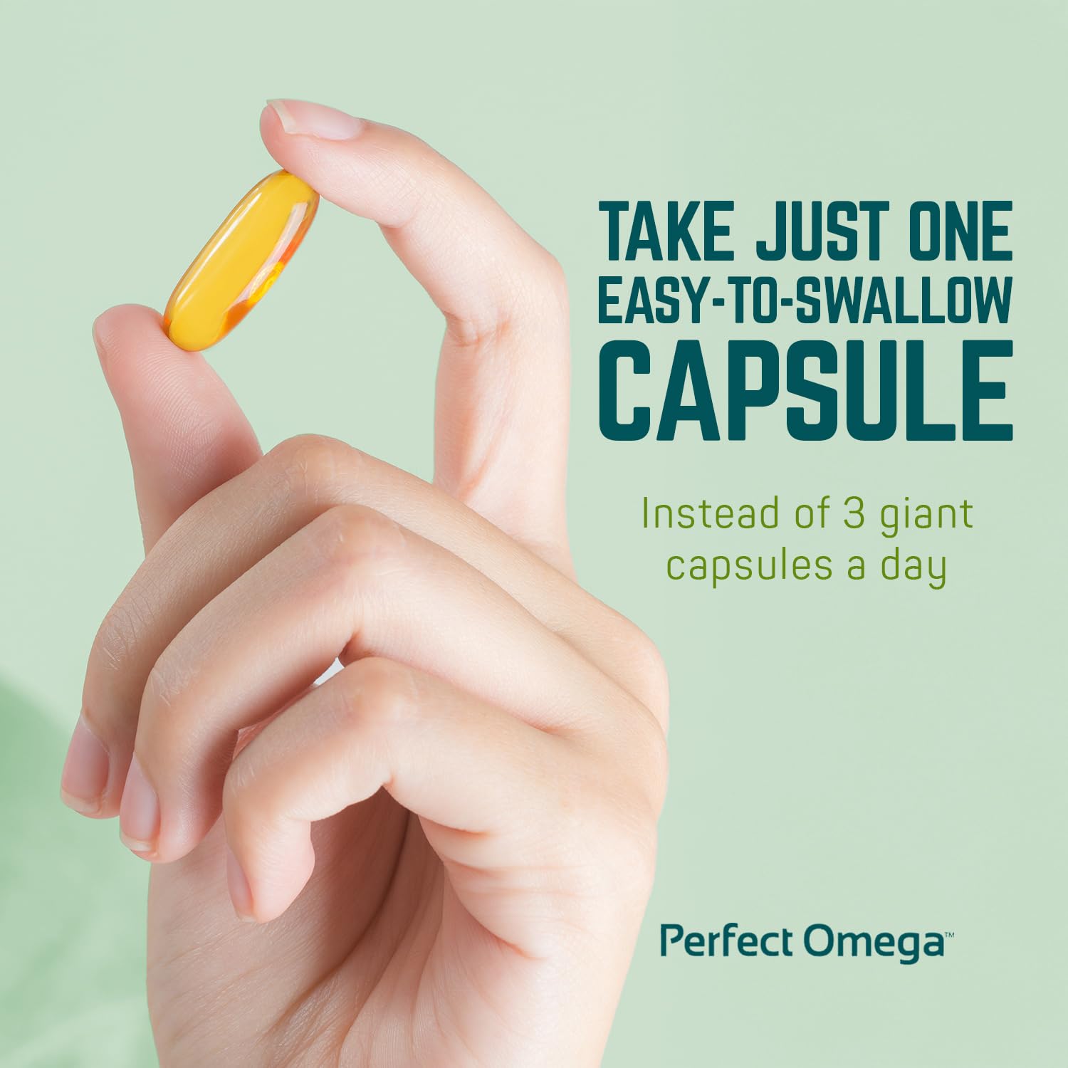 high quality fish oil supplement