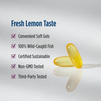 high-quality fish oil supplement