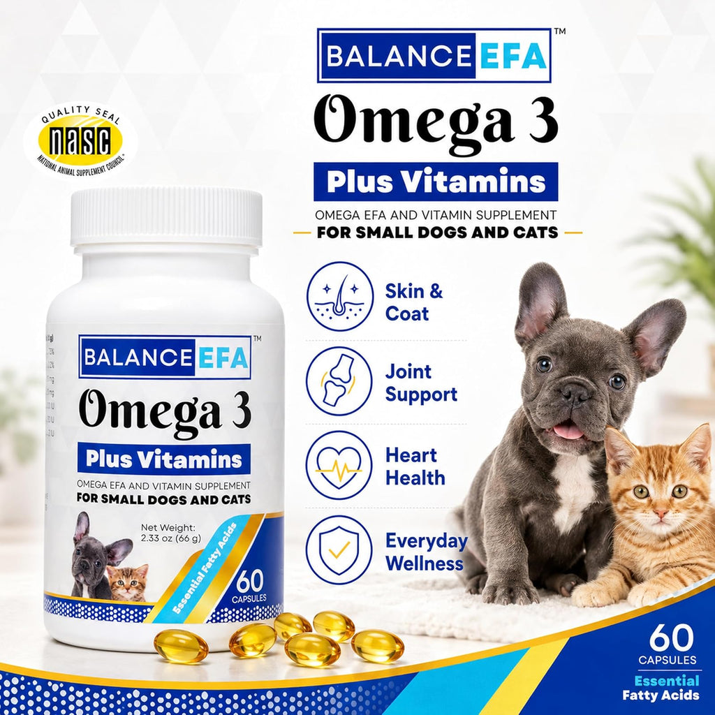 high-quality fish oil supplement