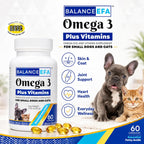 high-quality fish oil supplement