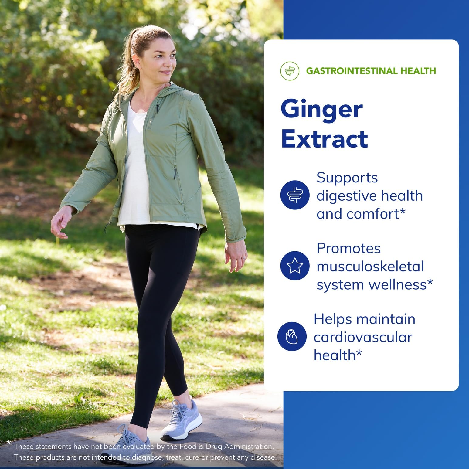 high-quality ginger extract for vitality