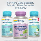 high-quality ginkgo biloba extract
