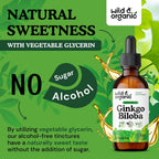 high-quality ginkgo biloba for vitality