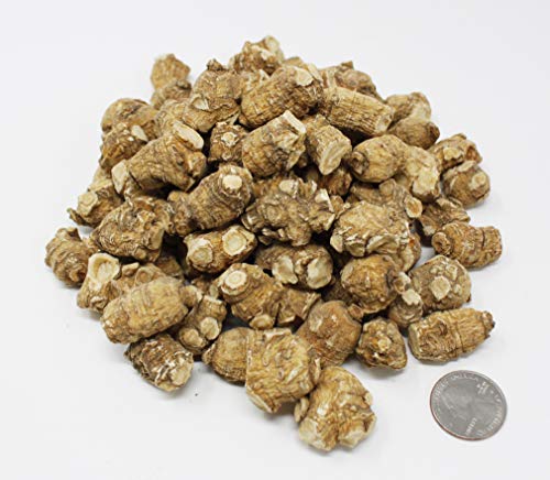 high-quality ginseng for health
