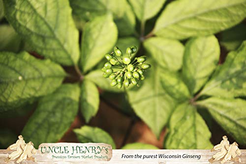 high-quality ginseng from farmers market