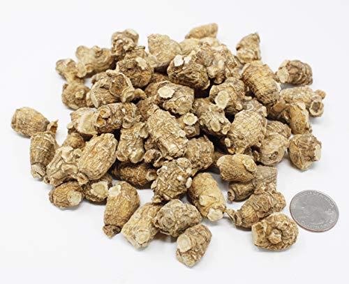 high quality ginseng root extract