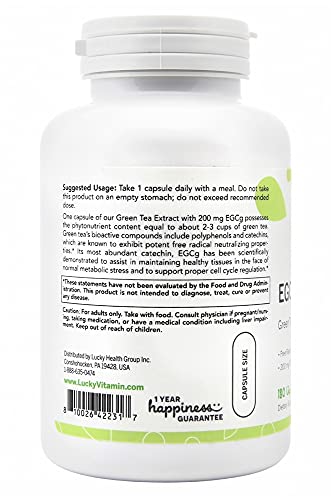 high-quality green tea extract