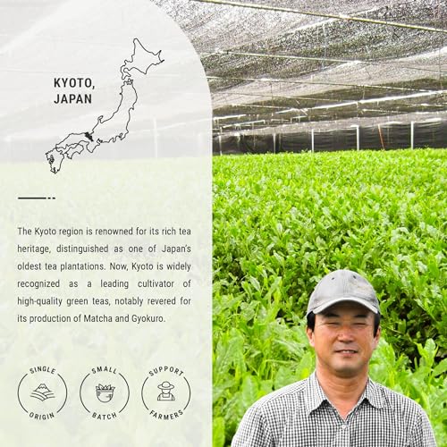 high-quality green tea for brewing