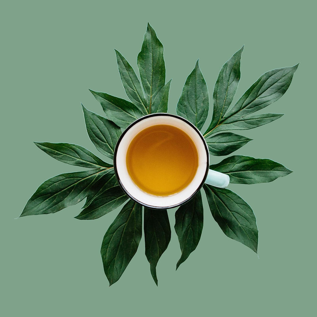 high-quality green tea for brewing