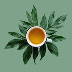 high-quality green tea for brewing