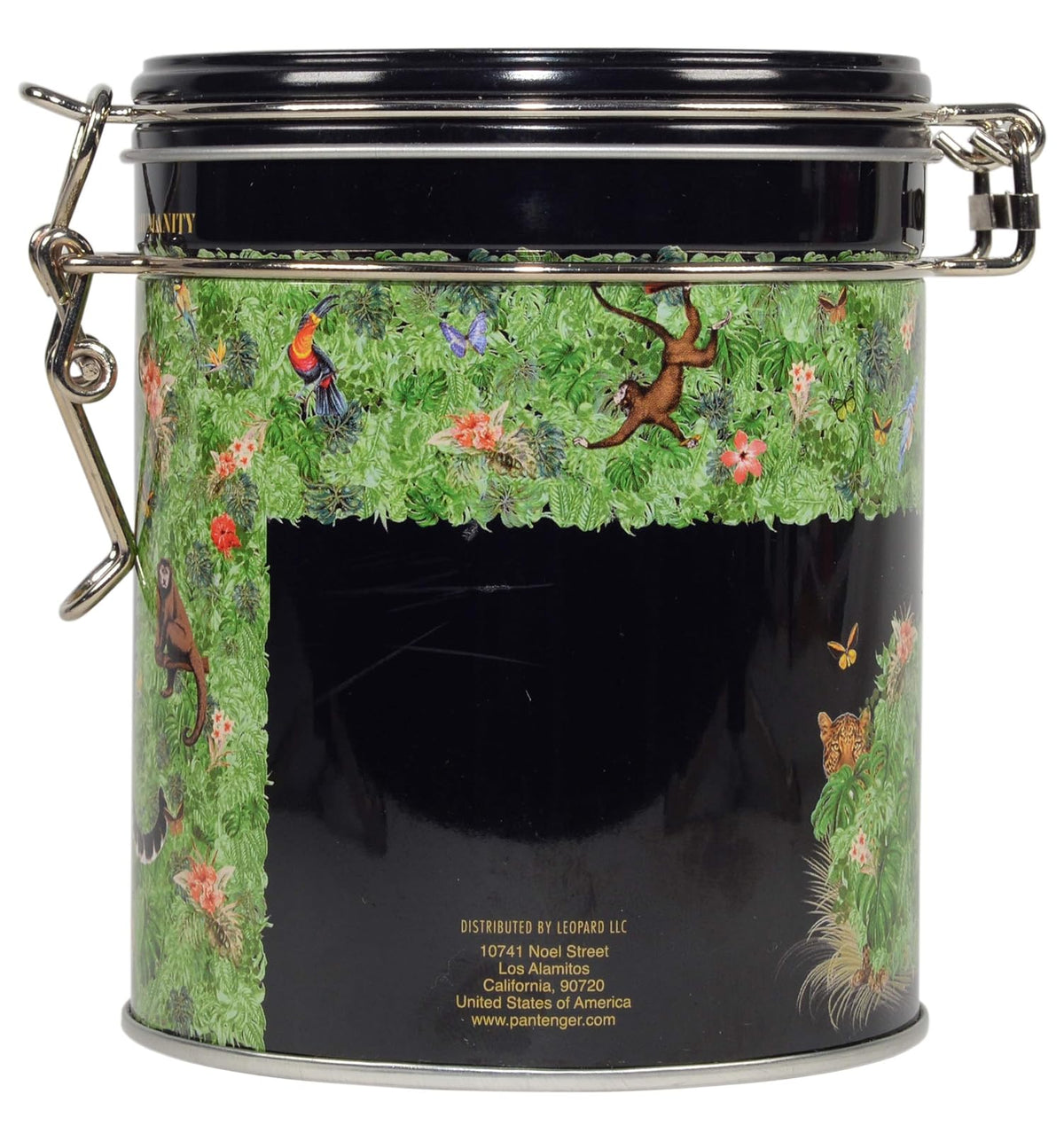 high-quality green tea for brewing