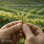 high-quality green tea leaves