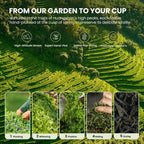high quality green tea leaves