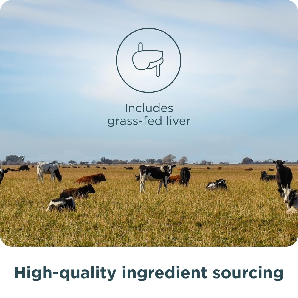 high-quality gummy multivitamin alternative