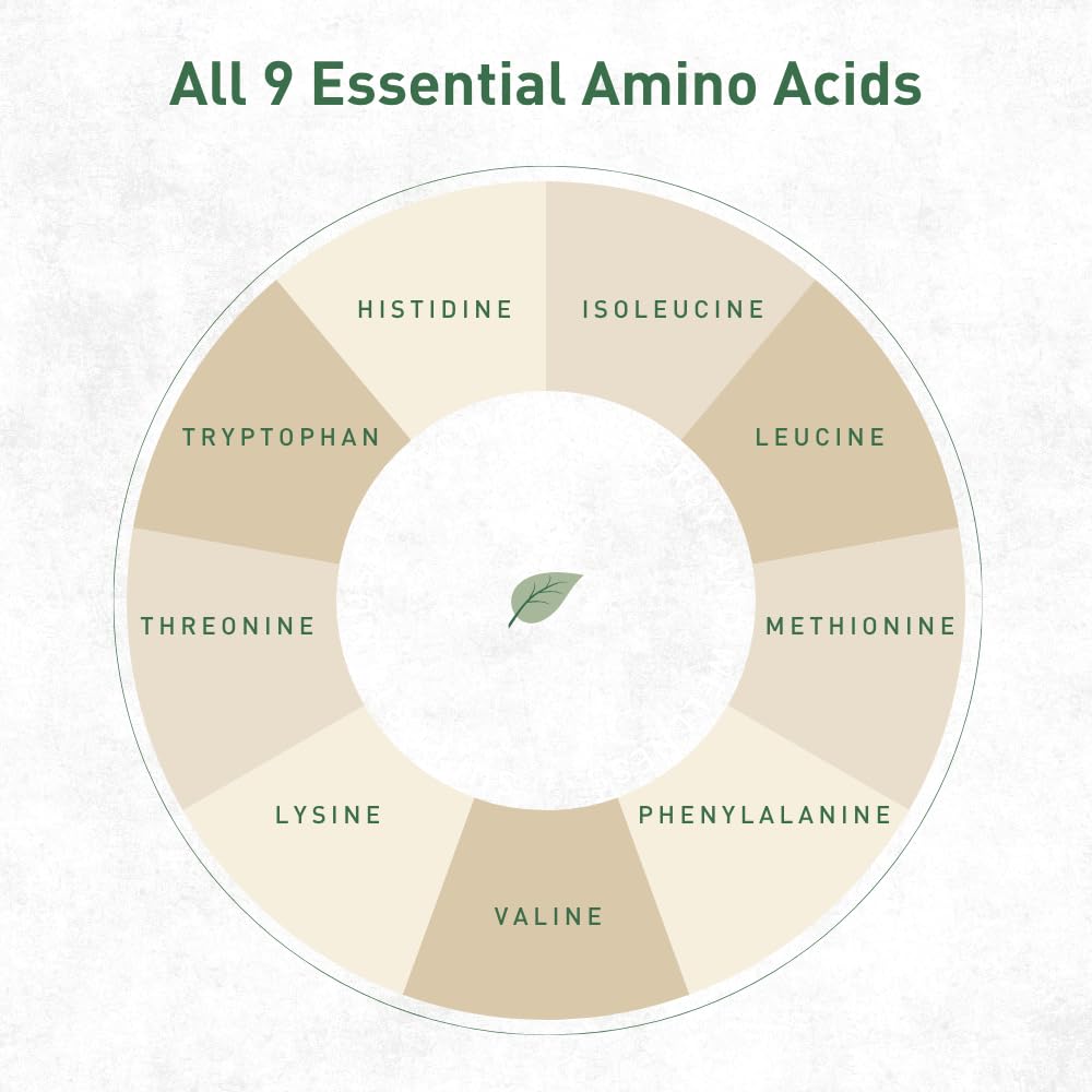 high quality hemp protein source