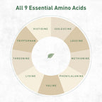 high quality hemp protein source