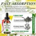 high-quality herbal oregano oil extract